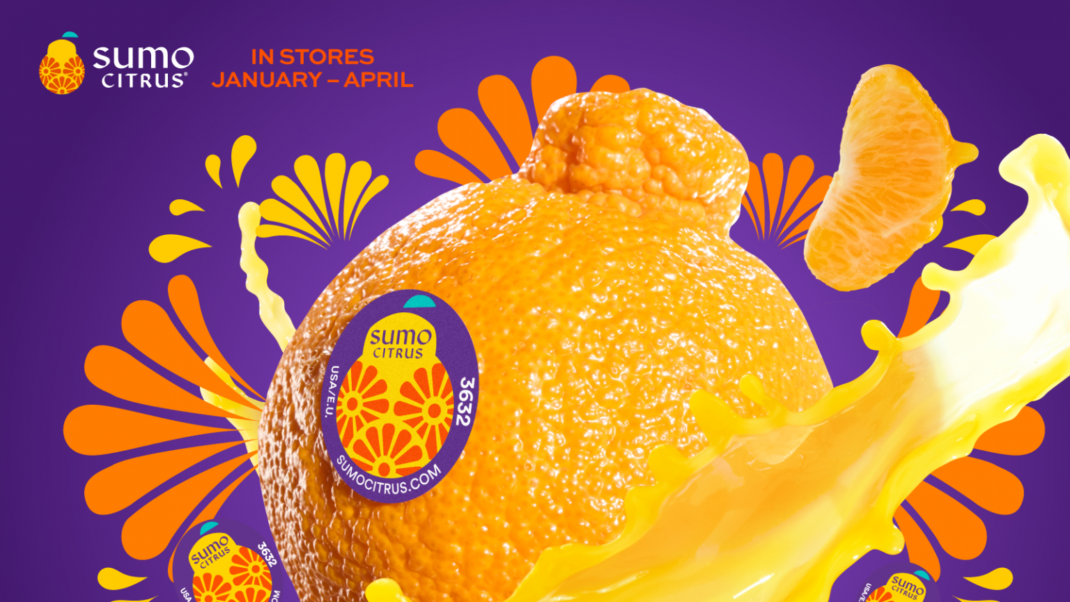 Stater Bros. Markets | Fresh. Affordable. Community First.