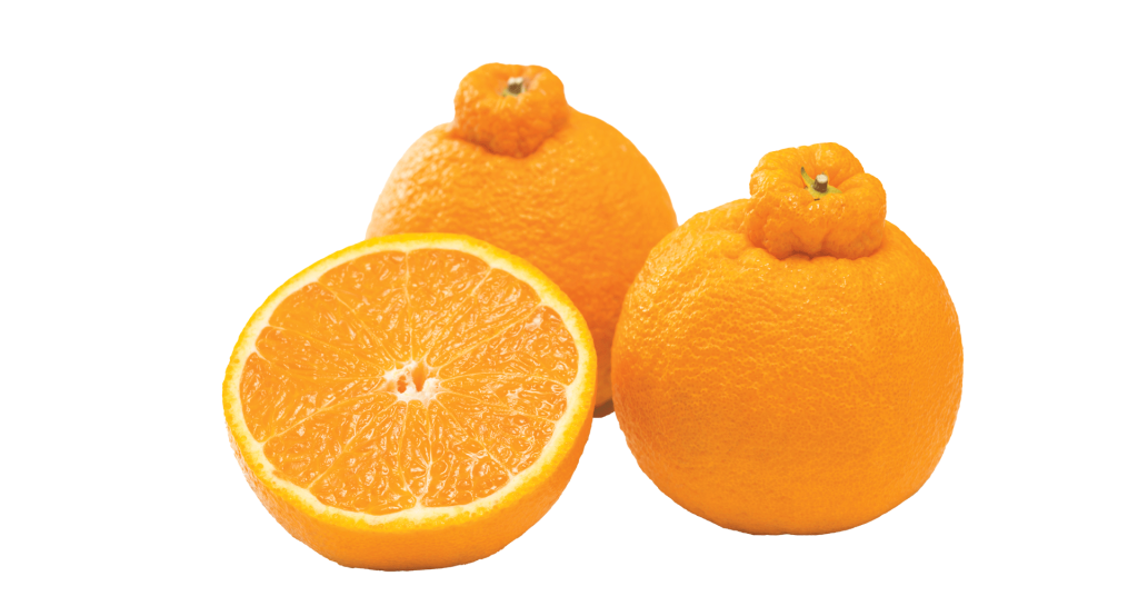 Stater Bros. Markets | Fresh. Affordable. Community First.